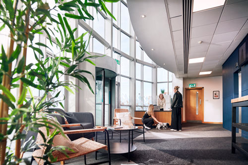 Visualsoft | Our proprietary eCommerce platform solution